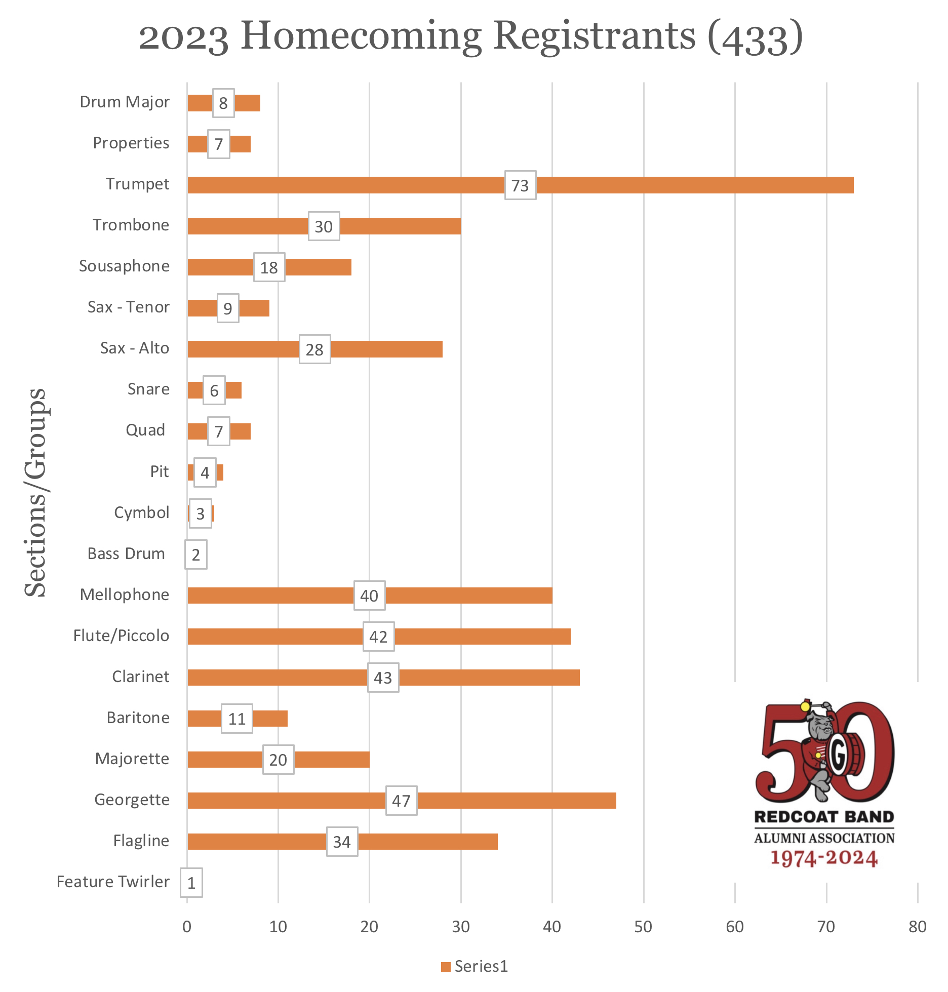 Homecoming Registration Statistics – RBAA 50th Anniversary Year-Long ...